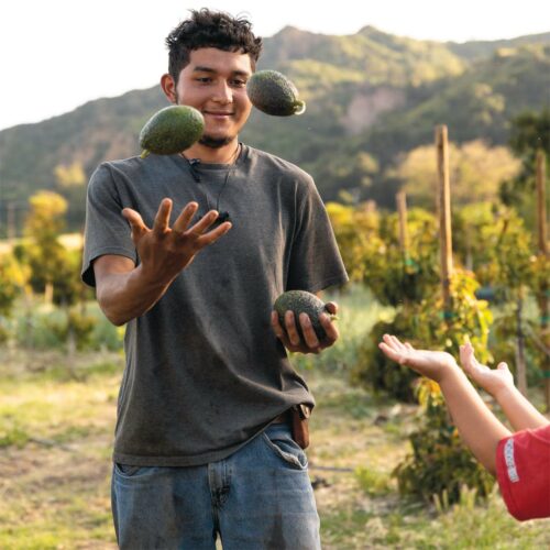 Food Entrepreneur Mollie Engelhart’s Quest for Healthy Food from ...